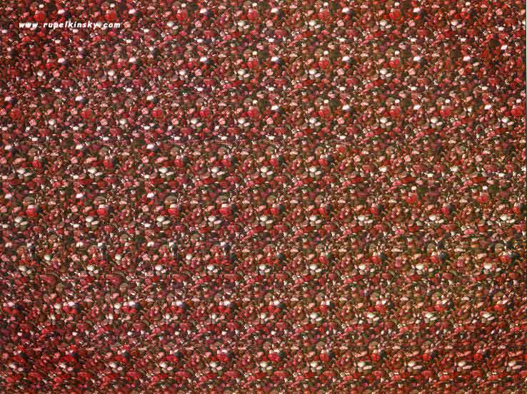 Stereogrammi - Pag 3